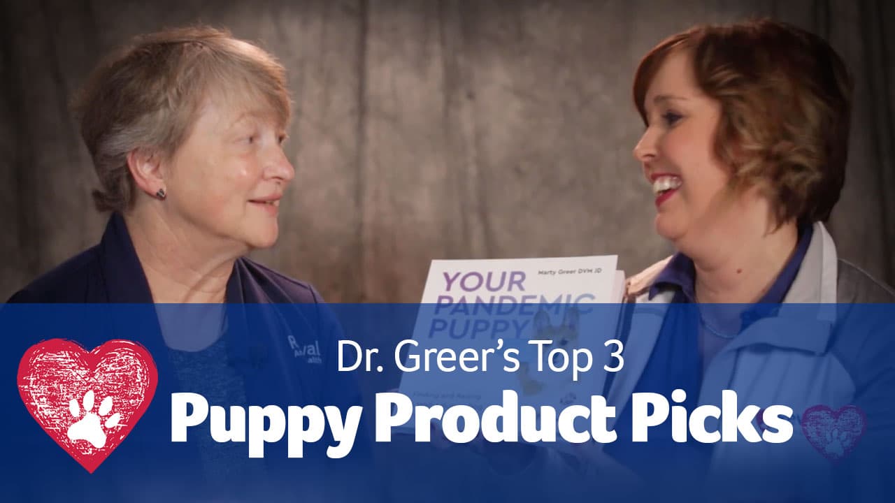 Our Top 3 Puppy Product Picks | Revival Animal Health