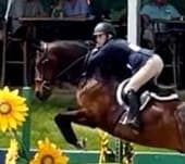 Stallion Breeding Guide: Maintaining Reproductive Health