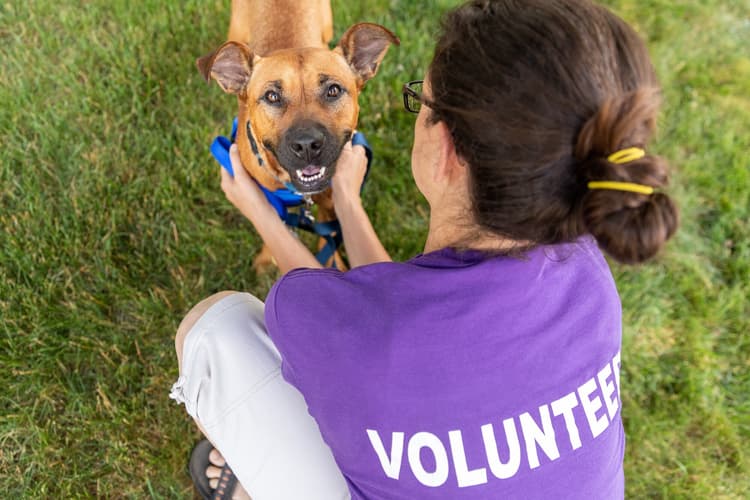 Revival Animal Health - Search