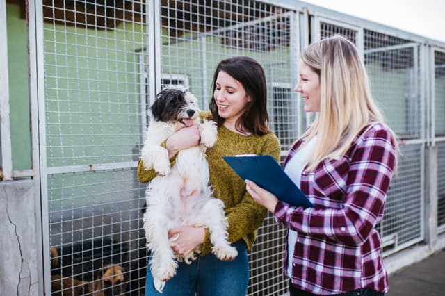 Revival Animal Health - Search